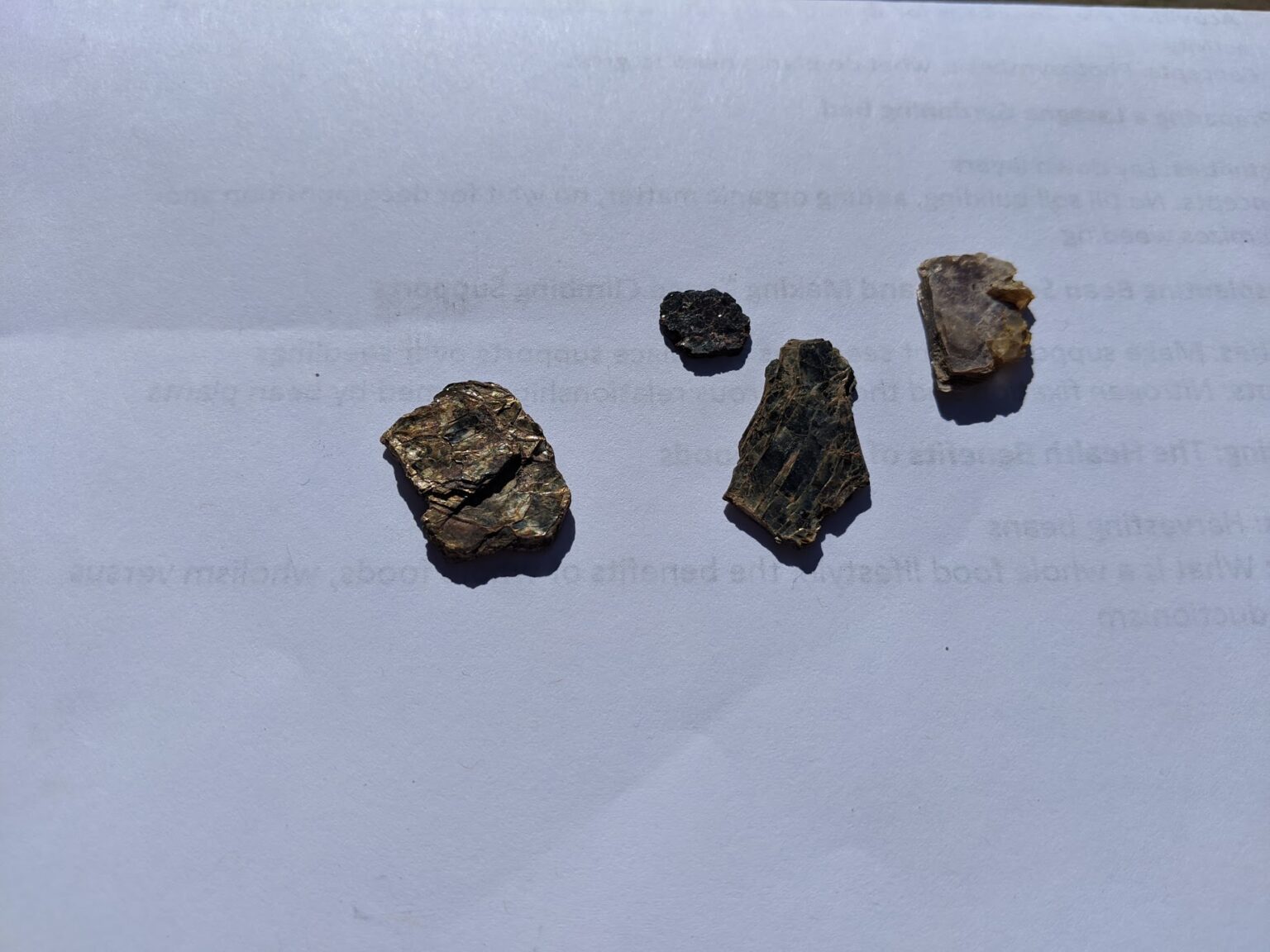 Sorting Soil – Rocks and Minerals - Hilltop Education Connections