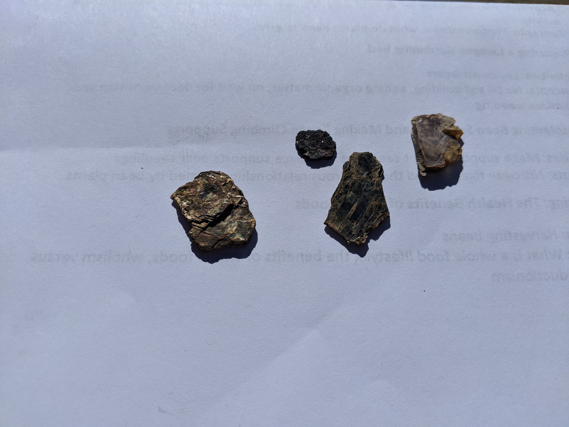 Sorting Soil – Rocks and Minerals - Hilltop Education Connections