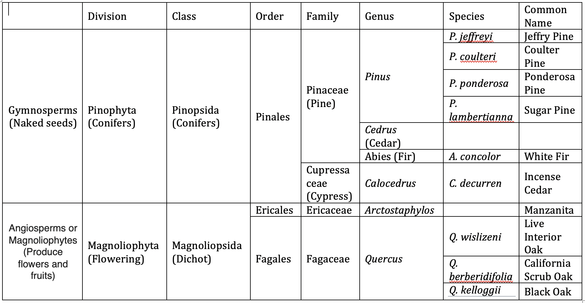 Observing, Categorizing and Naming Trees - Hilltop Education Connections