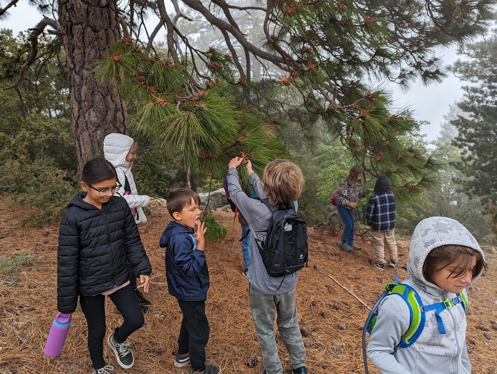 Nature-Based Science and Nature Connection Classes - Hilltop Education ...